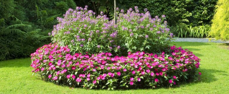 Inselbeet Im Rasen Anlegen: Anleitung, Tipps Und Ideen - Garten.Schule